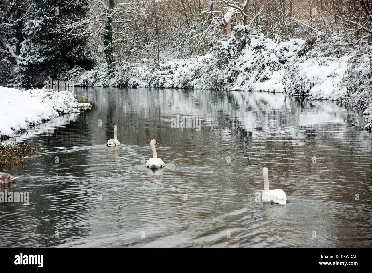 River Wey Godalming Navigation High Resolution Stock Photography and ...