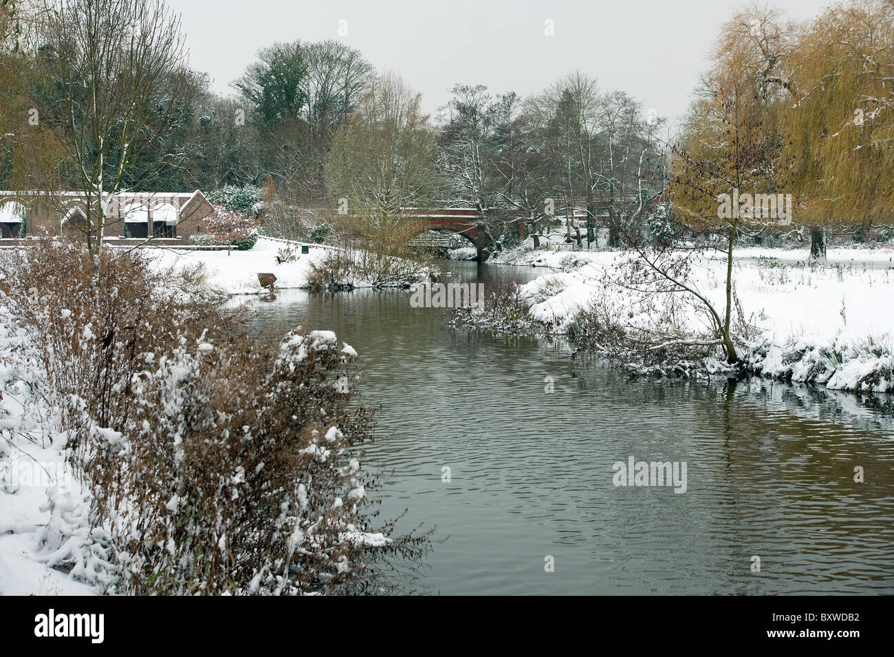 The River Wey in the snow in Godalming Surrey Stock Photo - Alamy