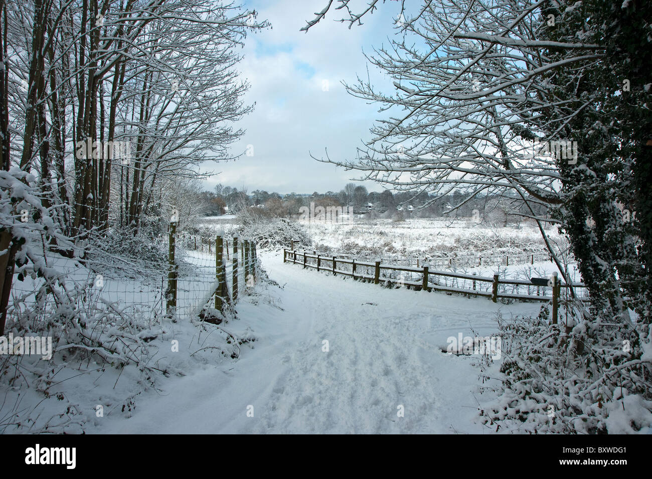 A footpath in the snow off the River Wey floodplain near Godalming in ...