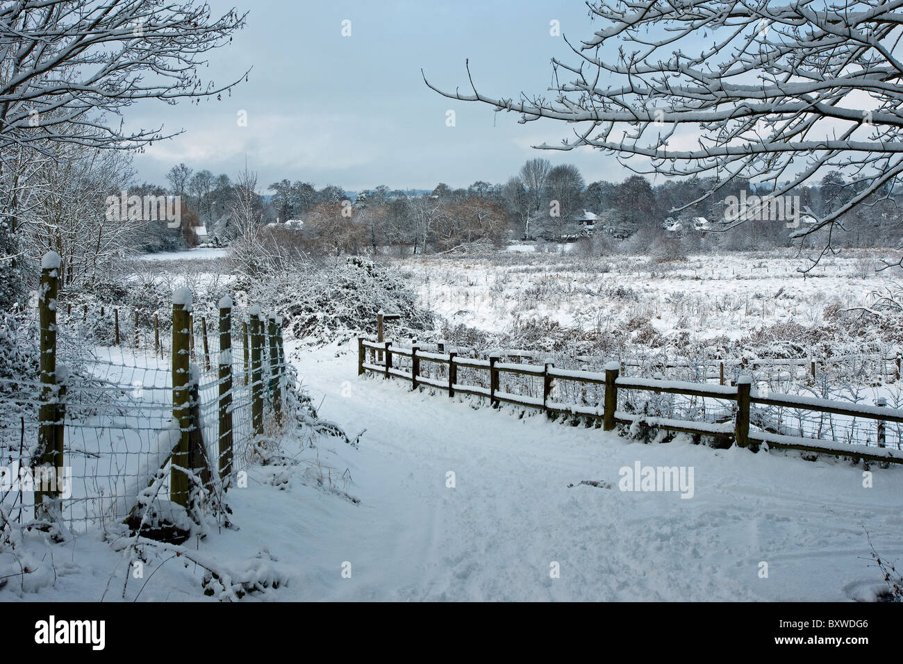A footpath in the snow off the River Wey floodplain near Godalming in ...