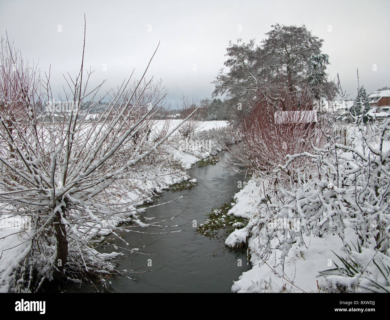 The River Wey in the snow in Godalming Surrey Stock Photo - Alamy