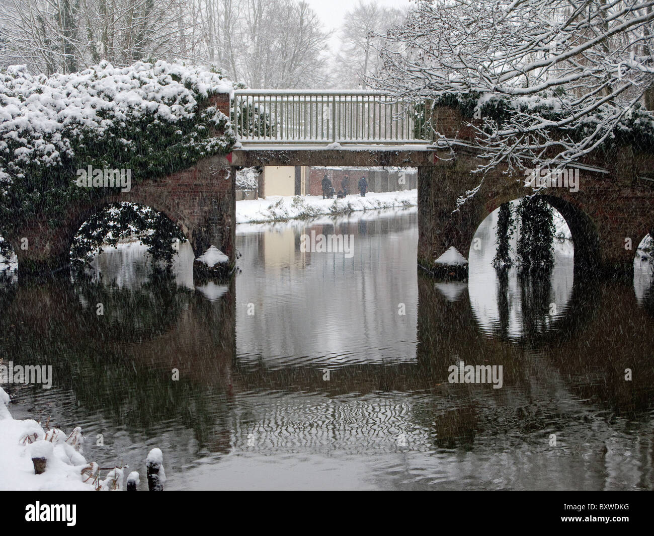 The River Wey in the snow in Godalming Surrey Stock Photo - Alamy