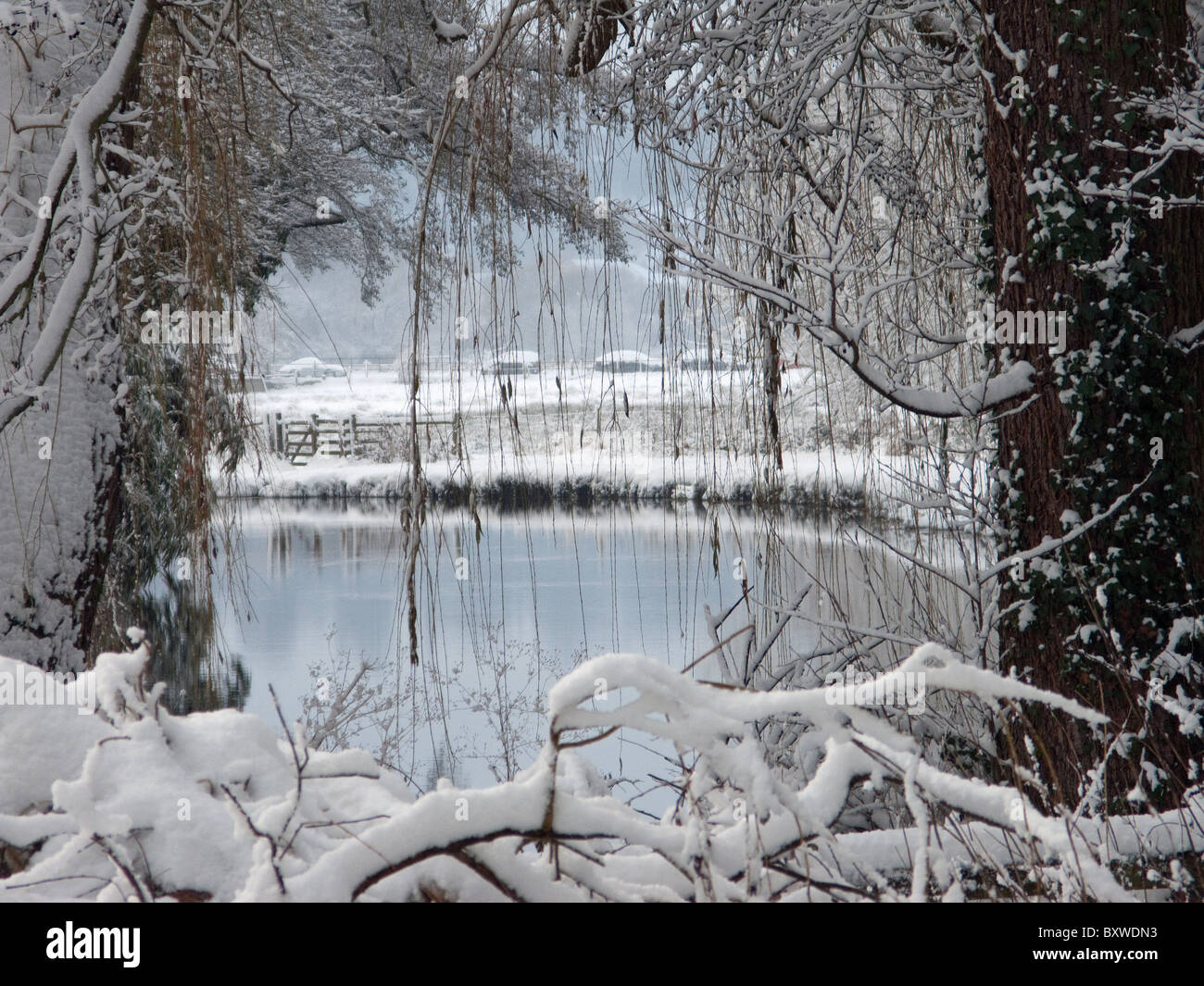 The River Wey in the snow in Godalming Surrey Stock Photo - Alamy