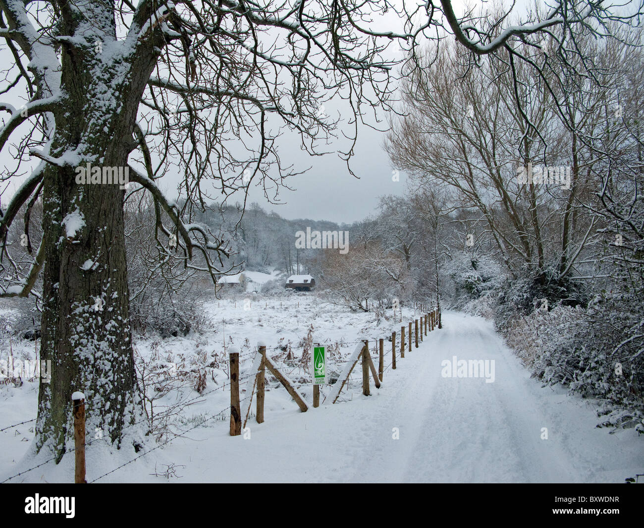 A footpath in the snow off the River Wey floodplain near Godalming in ...