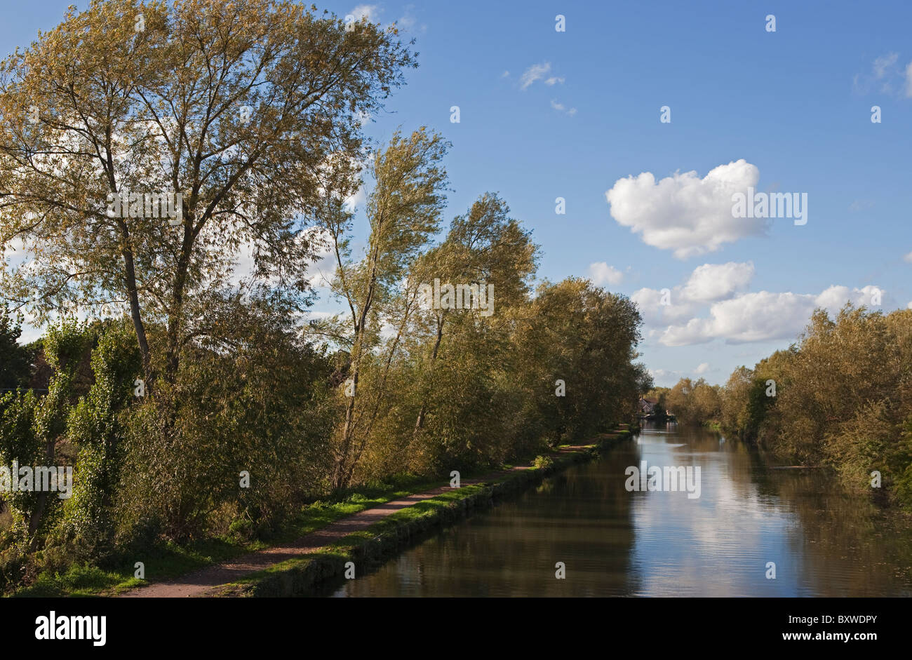 River Lee Navigation Stock Photo - Alamy