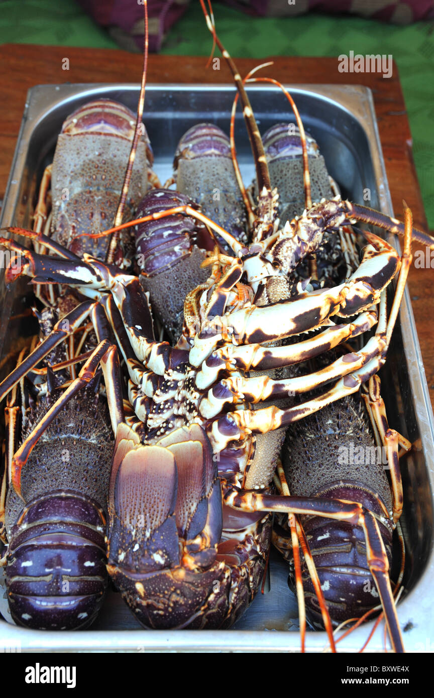 Lobster display hi-res stock photography and images - Alamy