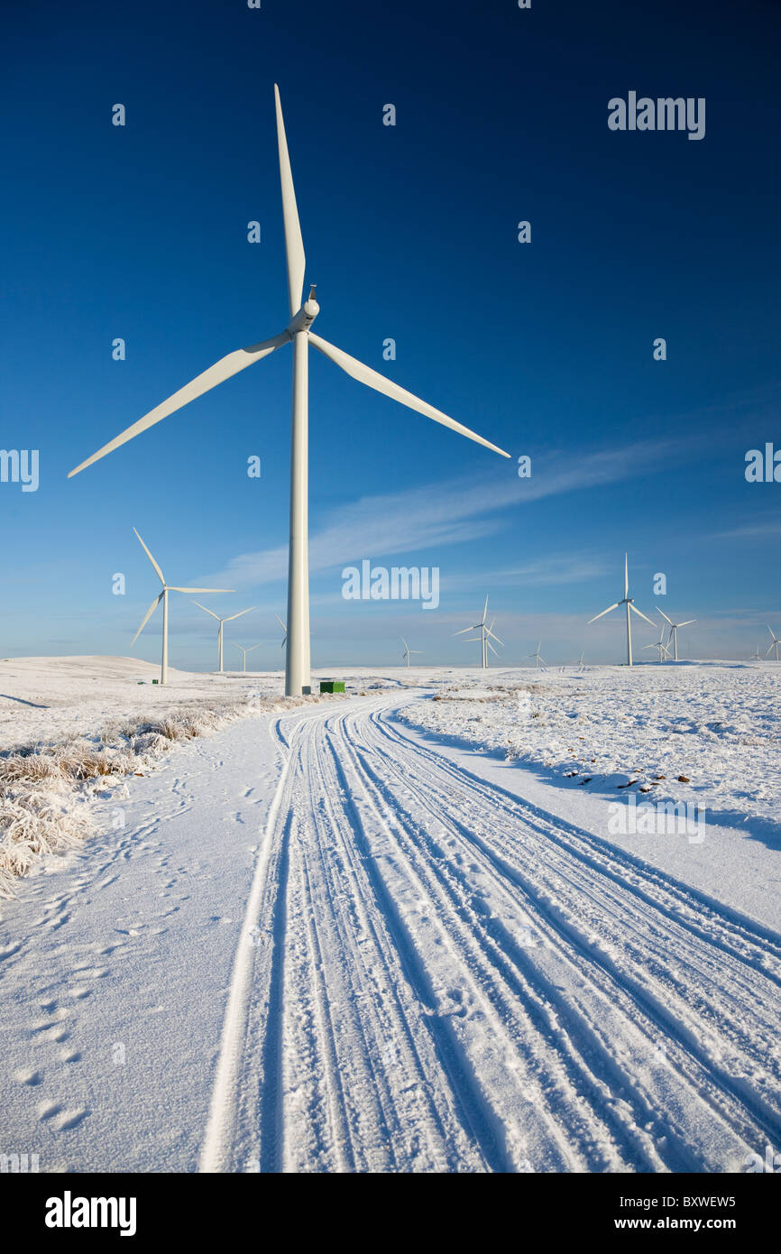 Whitelee wind farm electricity power wind turbines during winter with ...