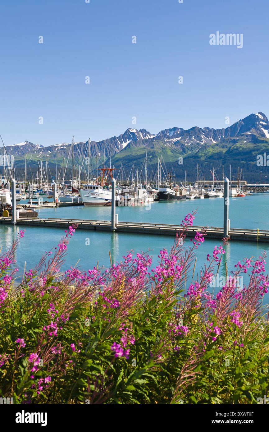 Boat harbor on Resurrection Bay in Seward Alaska on the Kenai Peninsula ...