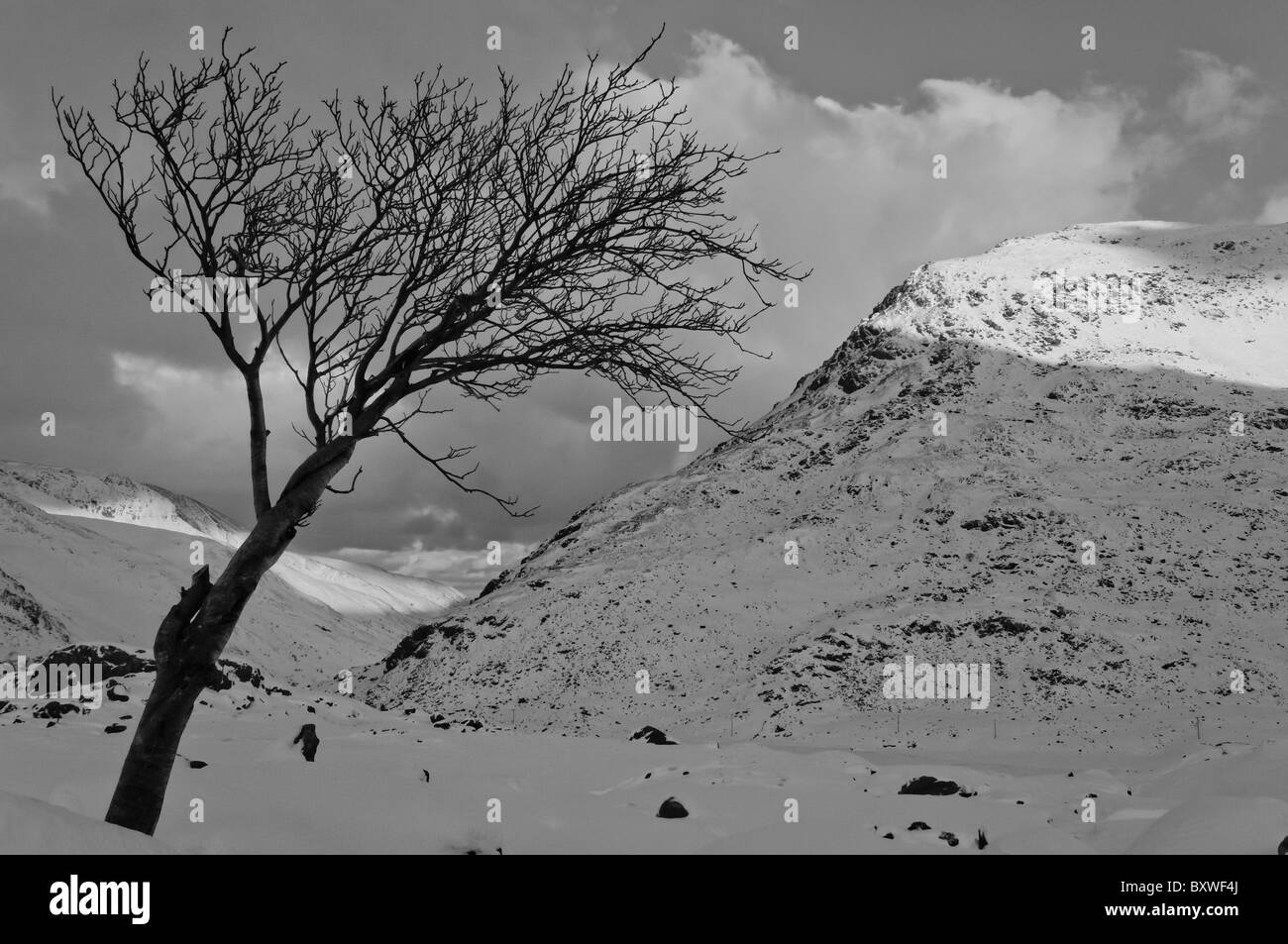 Mountain valley winter Black and White Stock Photos & Images - Alamy