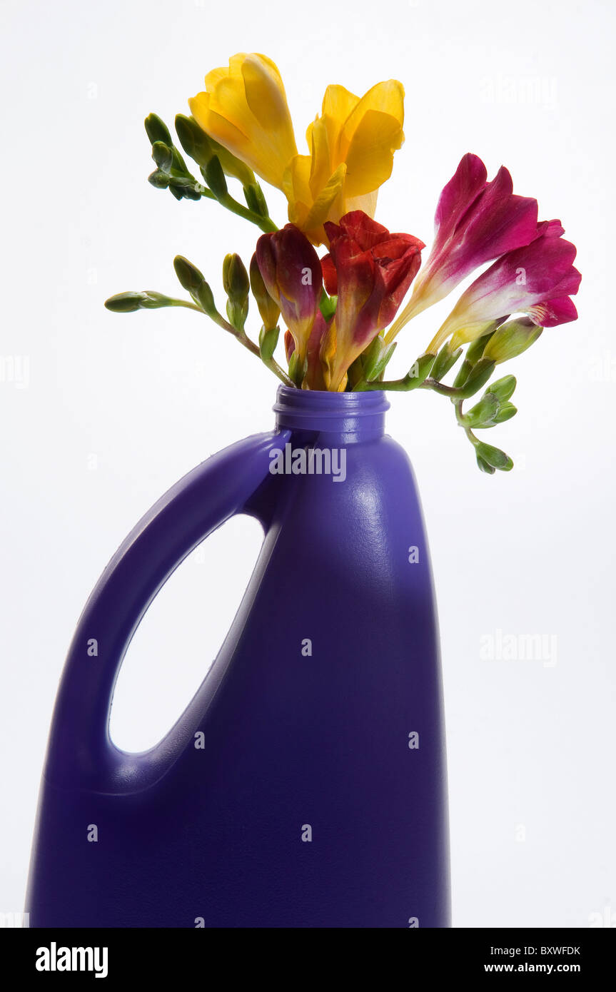 Flower in a bottle of fabric softener Stock Photo - Alamy