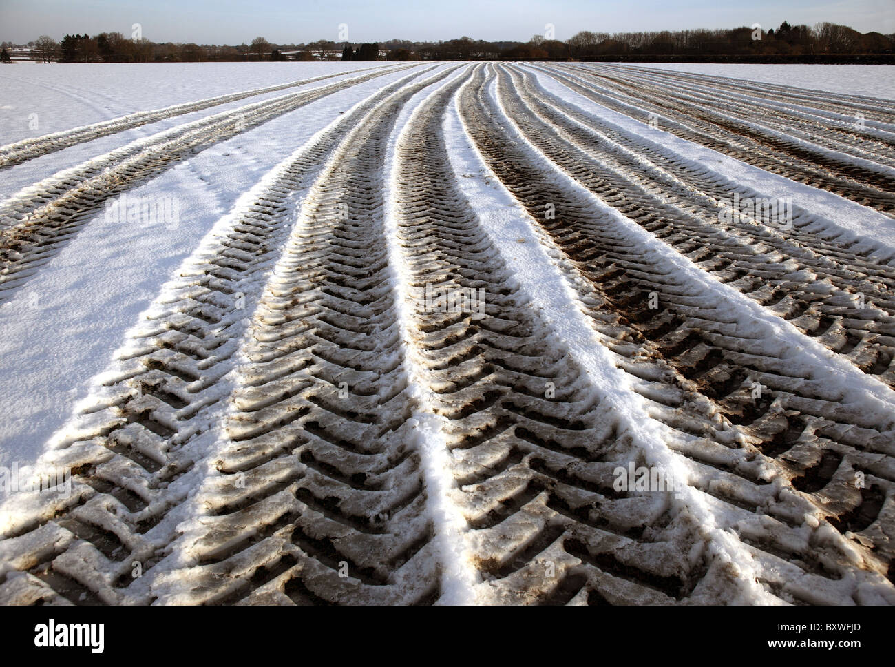 Tyre tracks in the snow and ice Stock Photo - Alamy