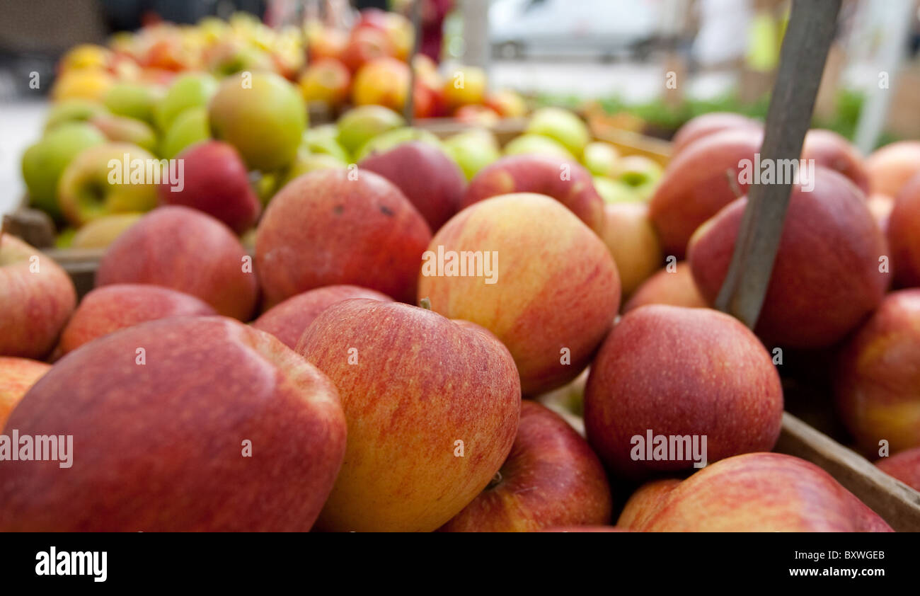A crate of gala apples at the Union Square Farmers Market in June of ...