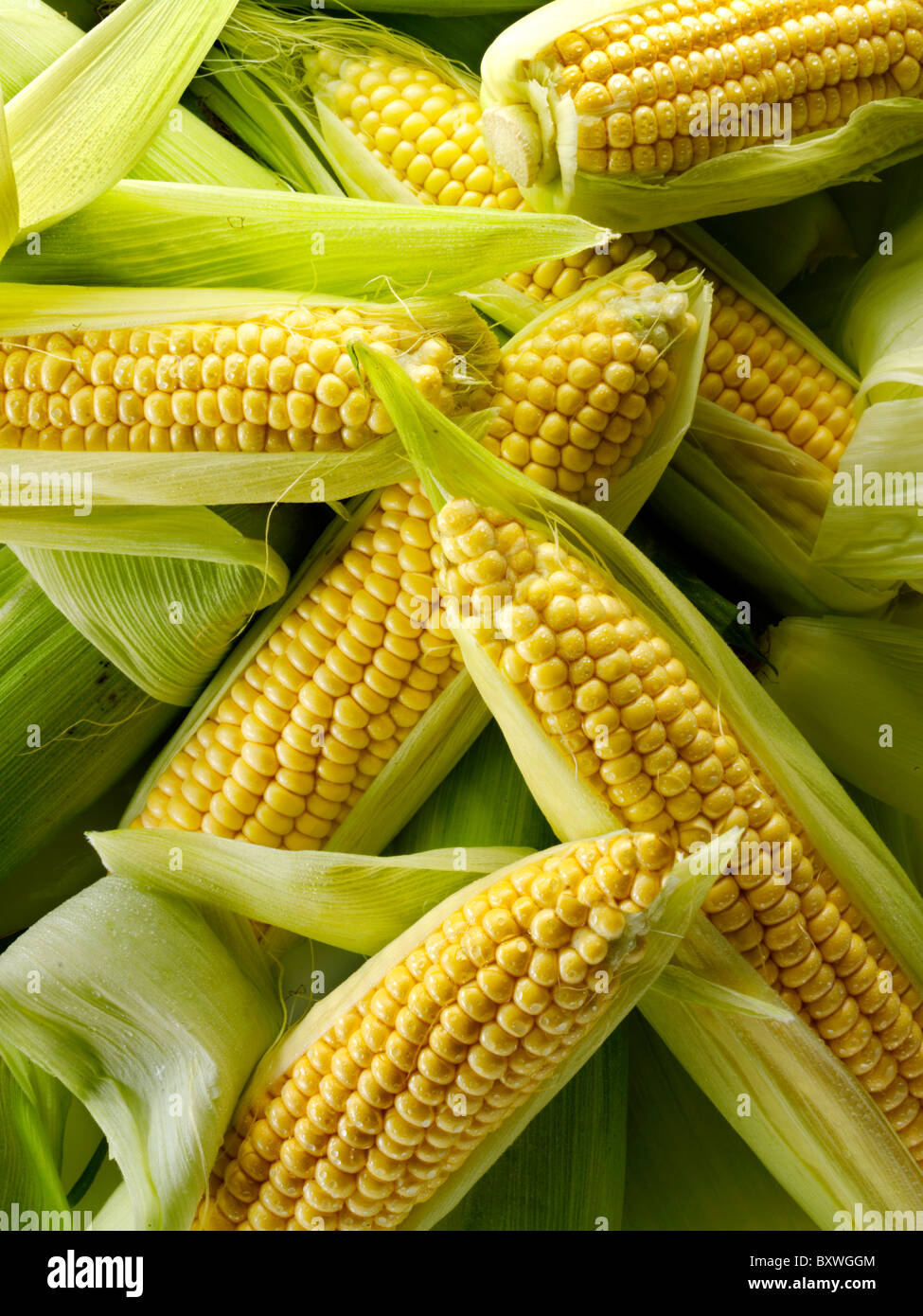 Fresh whole sweetcorn cobs Stock Photo - Alamy