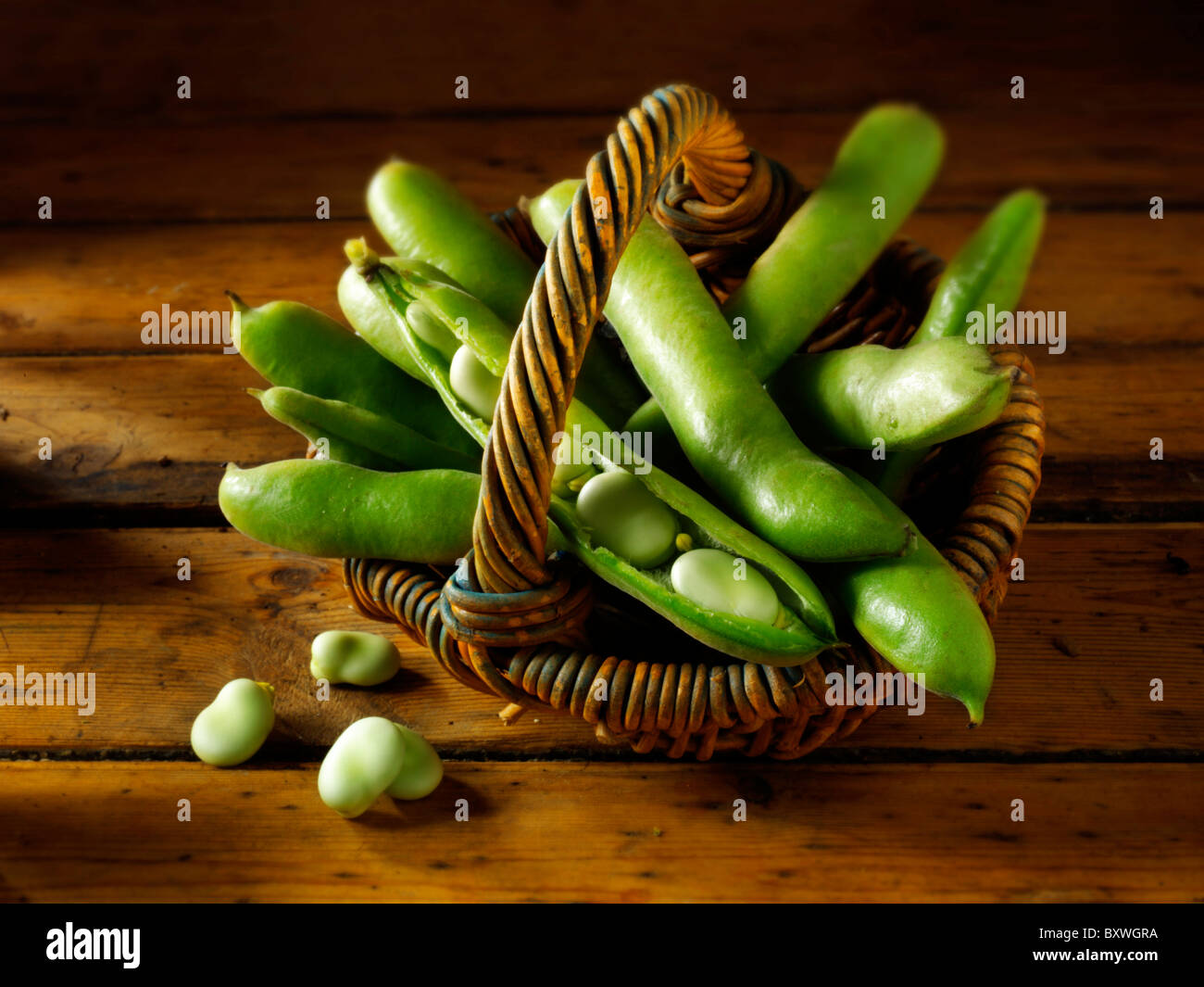Fresh broad beans in the pod Stock Photo - Alamy