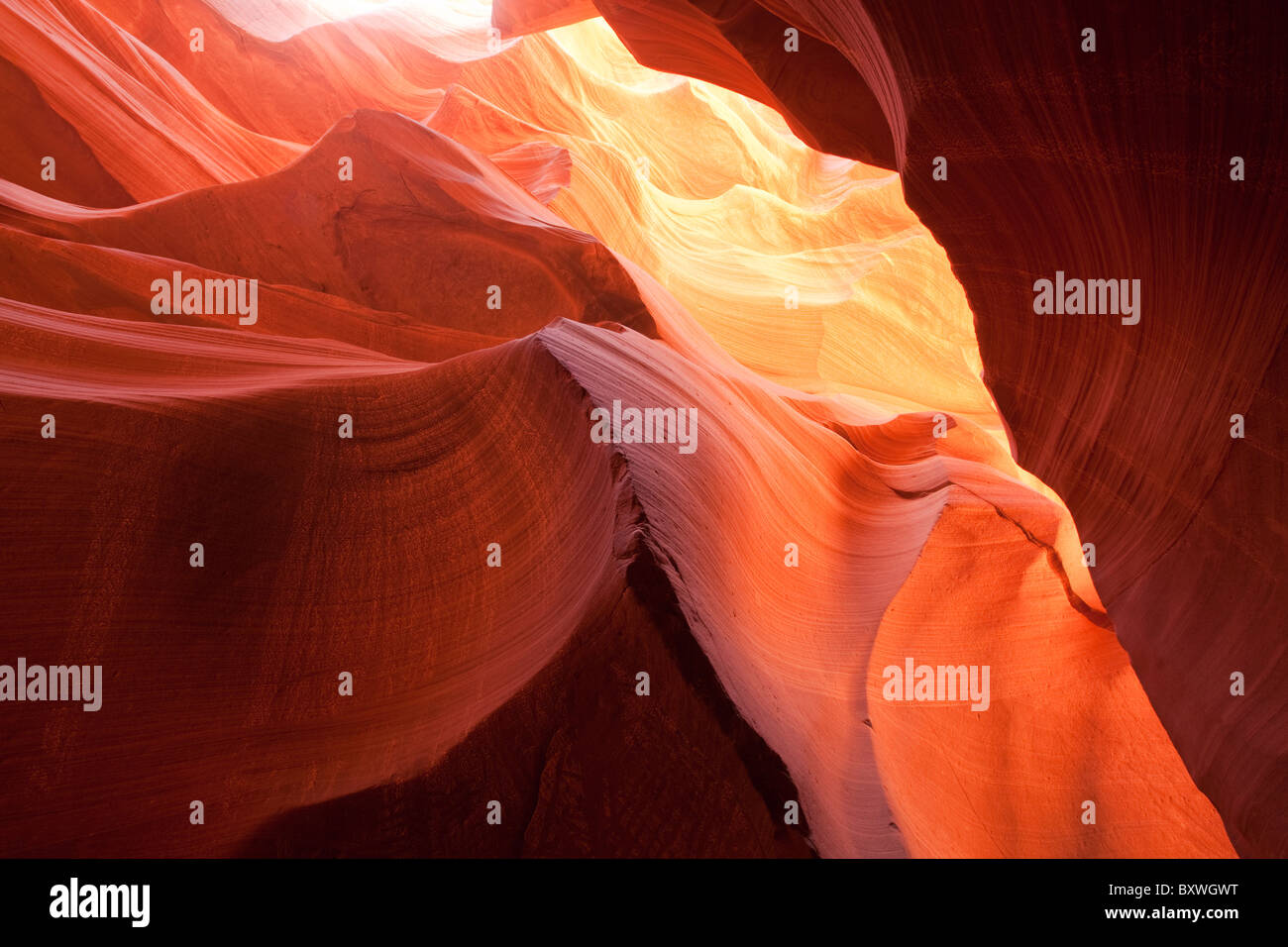 USA, Arizona, Page, Carved red sandstone walls of Lower Antelope Canyon ...
