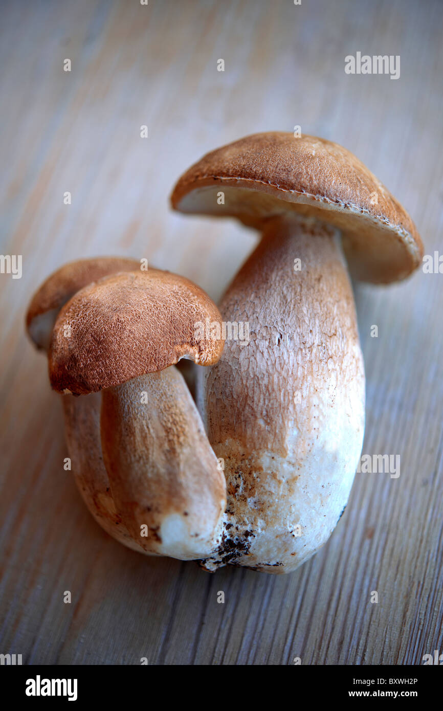 Whole fresh wild Ceps mushrooms Stock Photo - Alamy