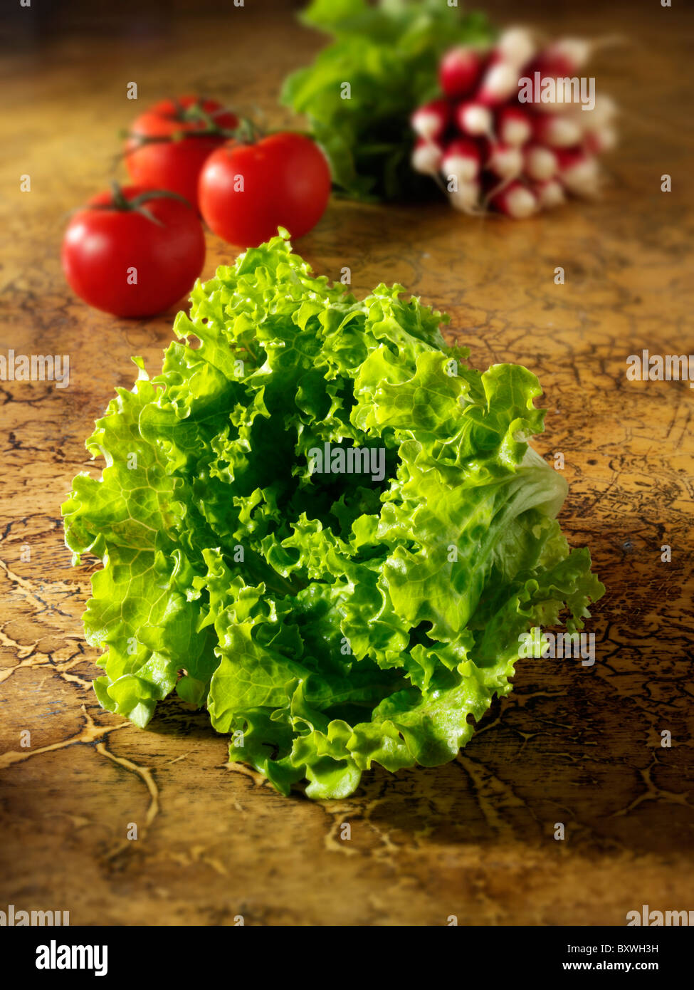 Fresh whole Batavia Lettuce Stock Photo - Alamy