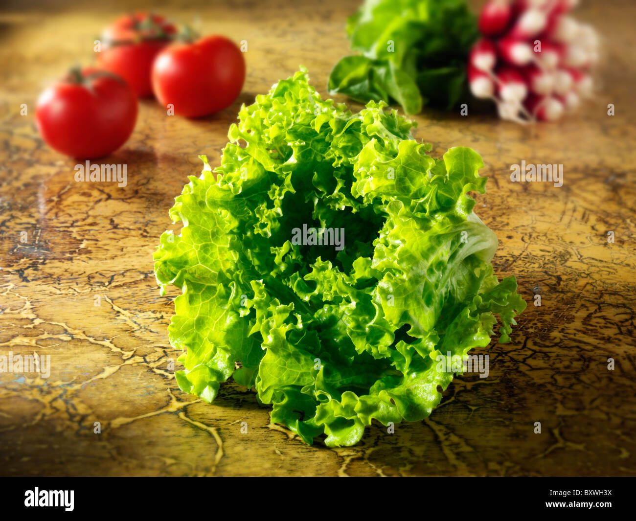 Fresh whole Batavia Lettuce Stock Photo - Alamy