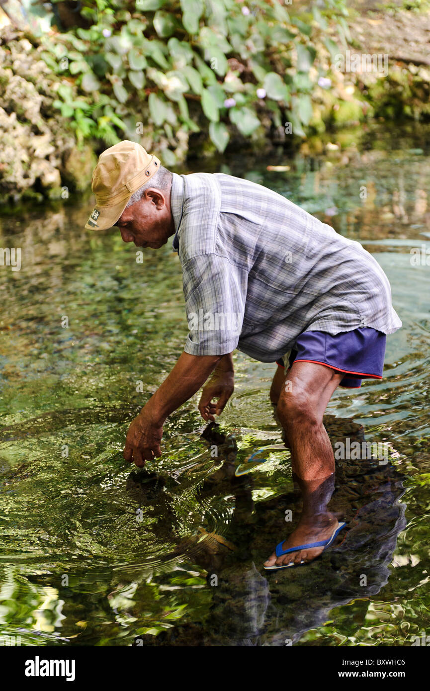 Sacred eel hi-res stock photography and images - Alamy