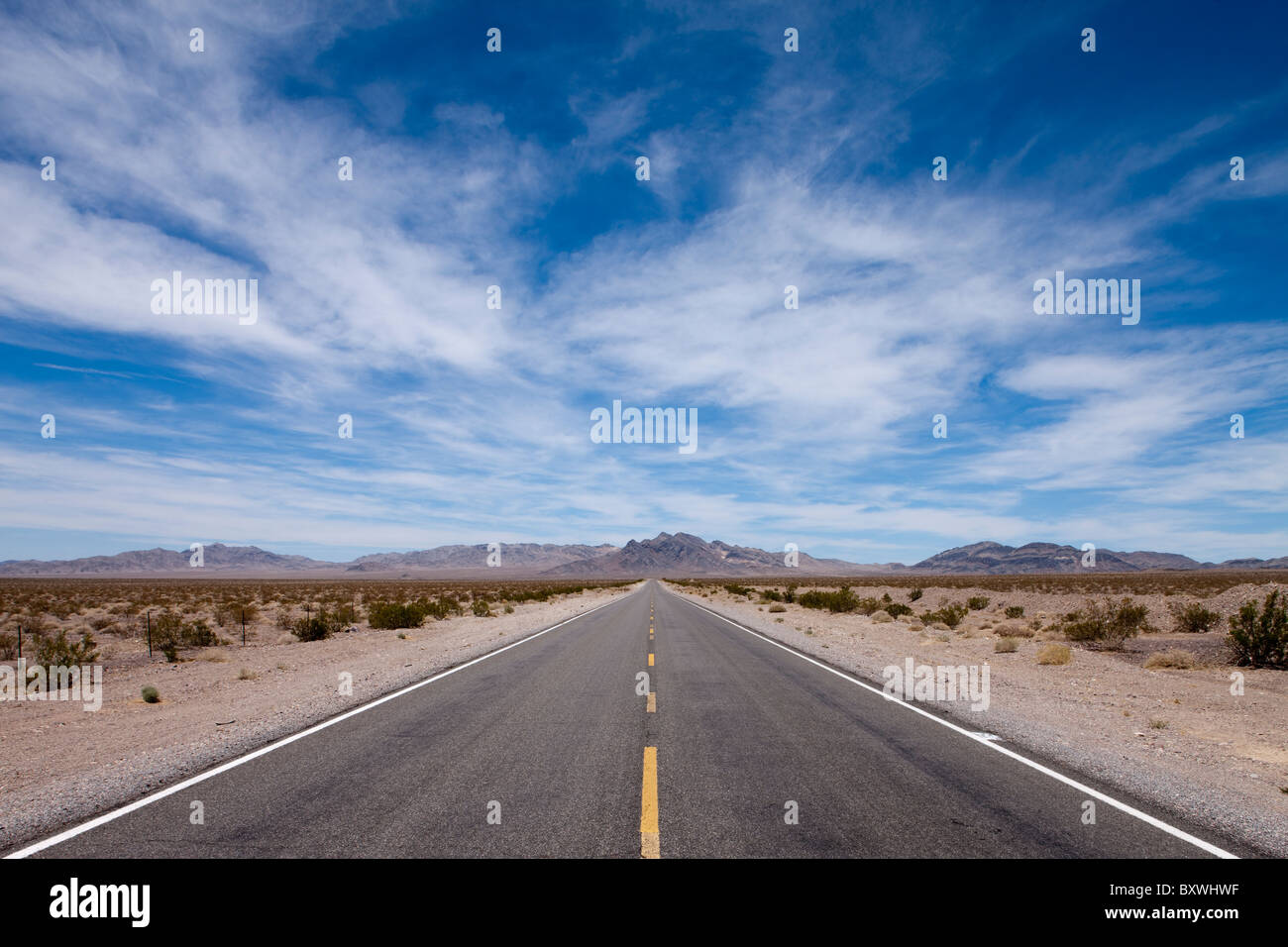 Usa desert scenes hi-res stock photography and images - Alamy