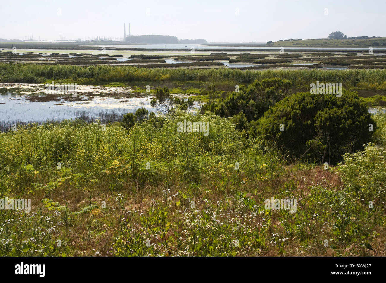 X039 hi-res stock photography and images - Alamy