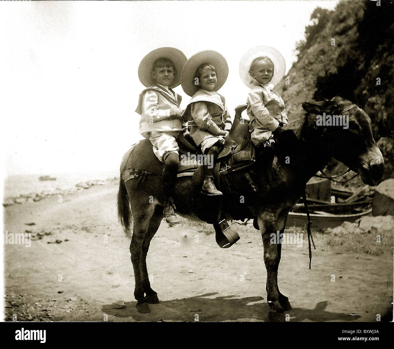 Three children ride on mule; USA; Nevada; circa 1910 Stock Photo - Alamy