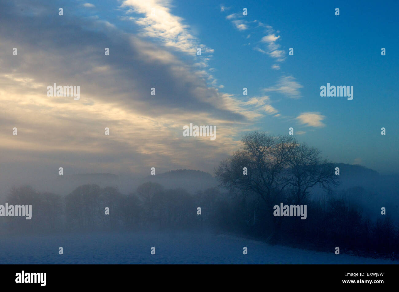 A snowy misty winter landscape Stock Photo - Alamy