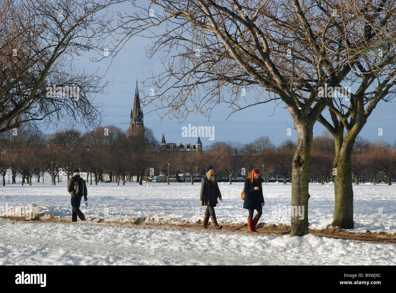 Scottish meadows hi-res stock photography and images - Alamy