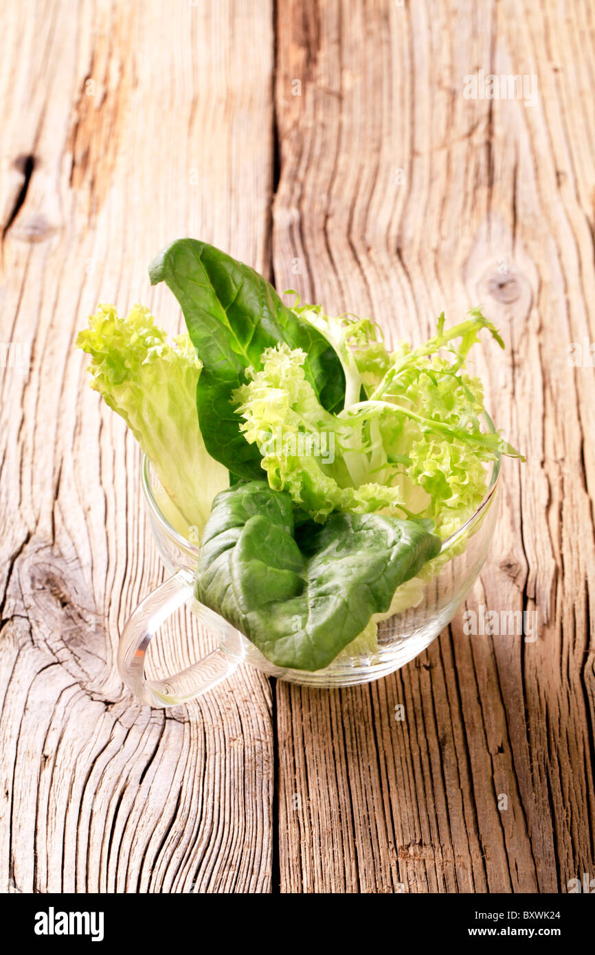 Frisee salad hi-res stock photography and images - Alamy