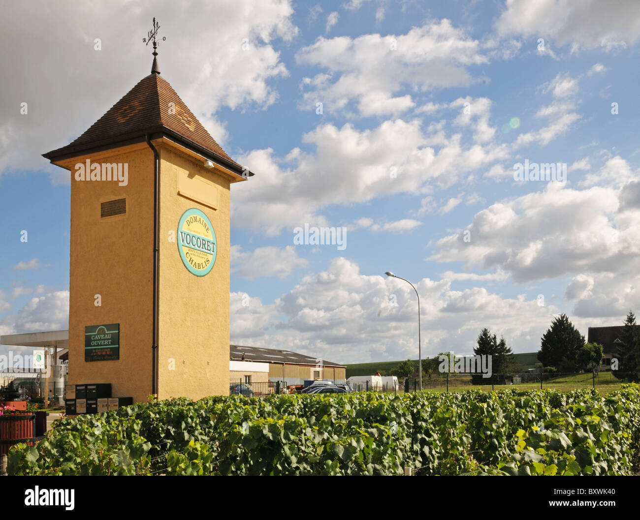 Chablis france vineyard hi-res stock photography and images - Alamy
