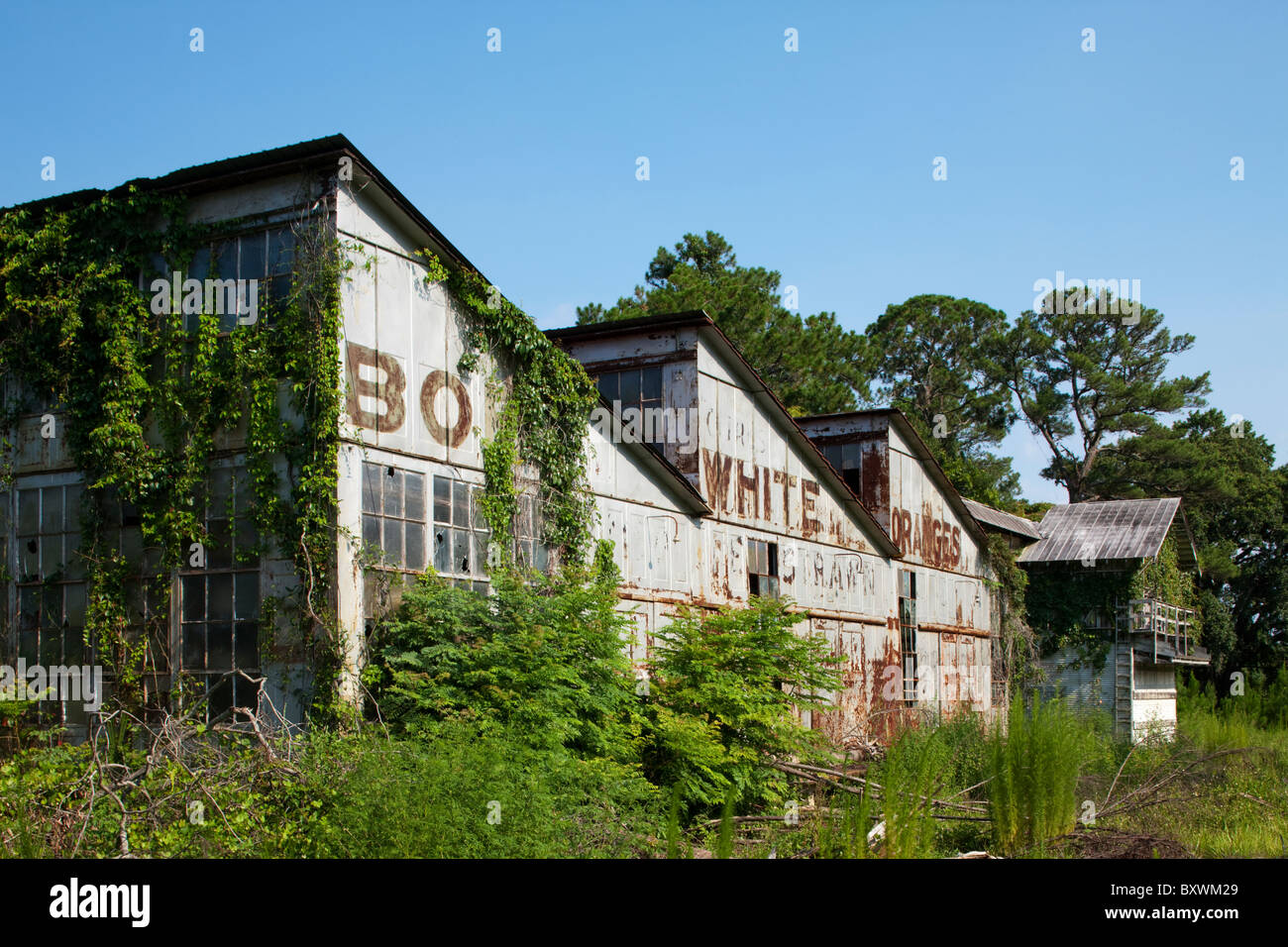 USA, Florida, Orlando, Abandoned citrus orange packing plant Stock ...