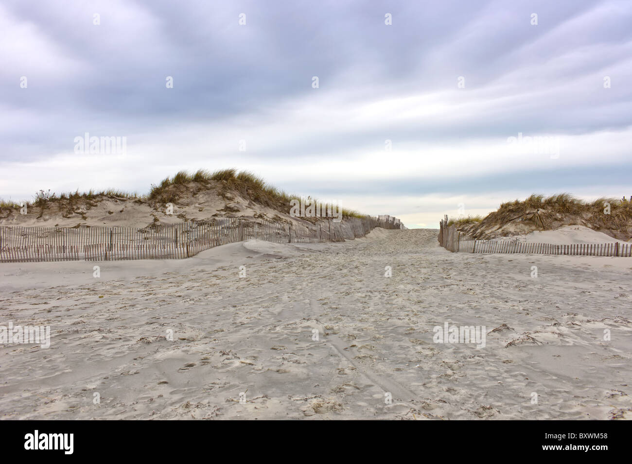 Path through sand dunes on a beach on Long Island, New York Stock Photo ...