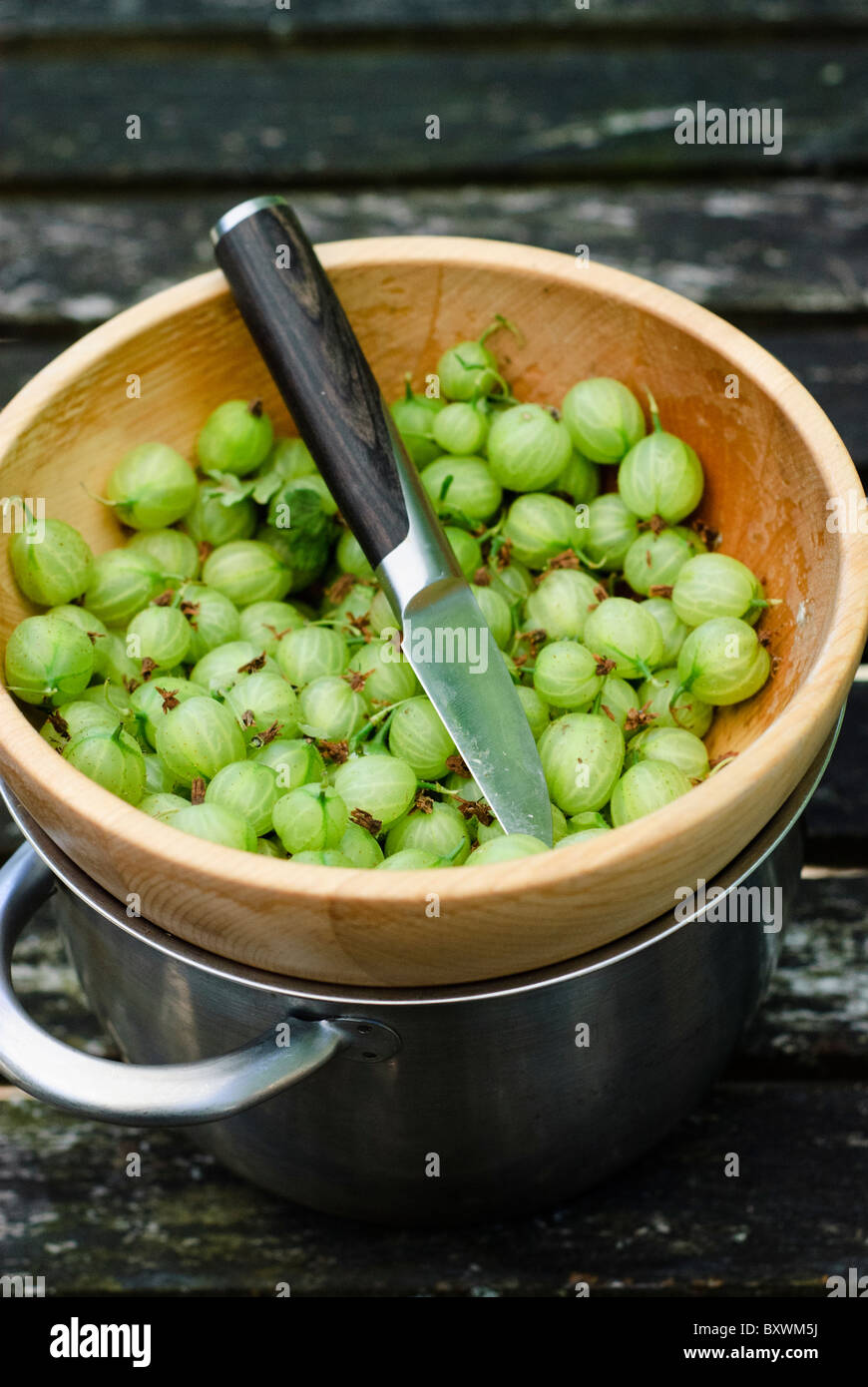 Preparing fresh homegrown gooseberries for cooking Stock Photo - Alamy