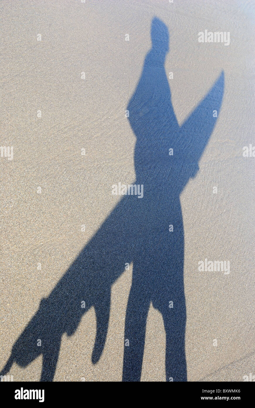 Surfer shadow hi-res stock photography and images - Alamy