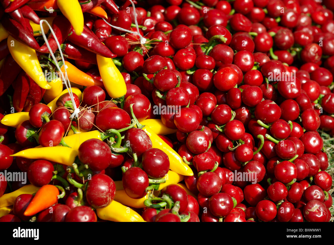Peppers and paprika hungarian hi-res stock photography and images - Alamy
