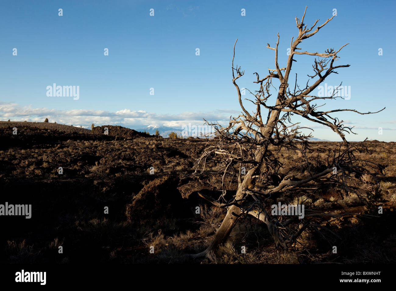 Lava fields craters moon national hi-res stock photography and images ...