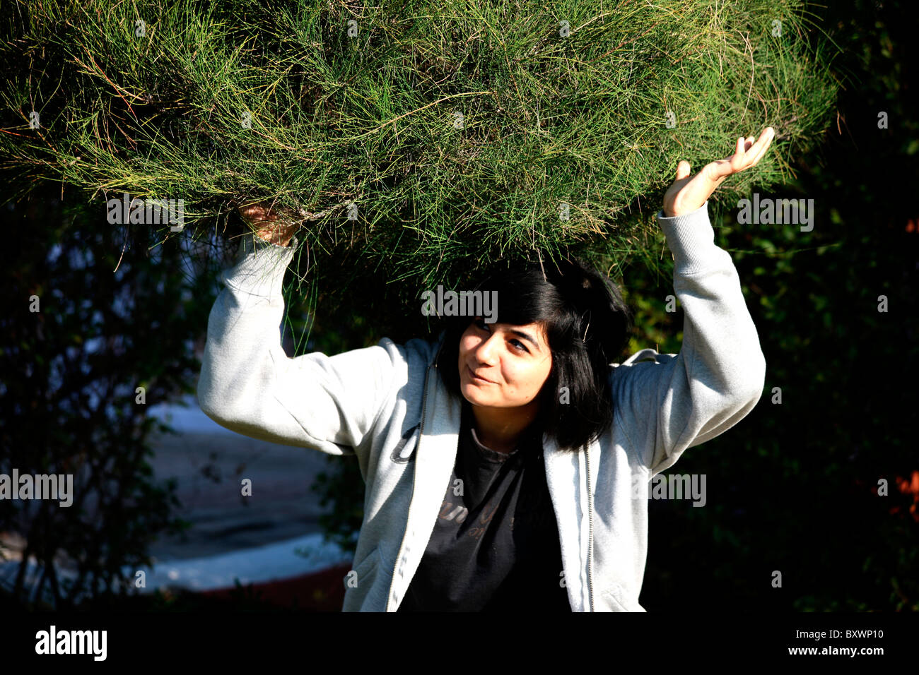 Stregth hi-res stock photography and images - Alamy