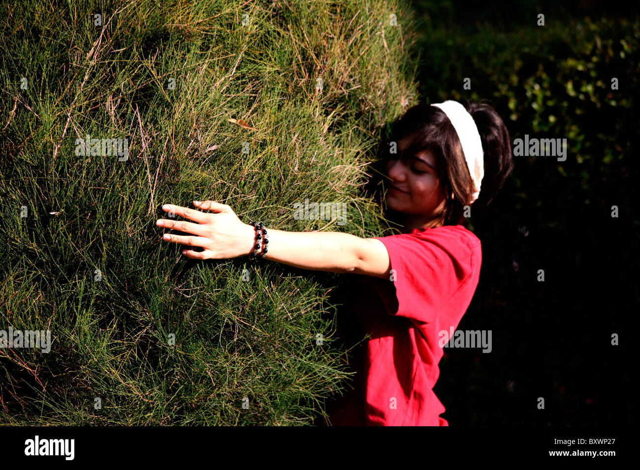 A young girl kissing a tree- symbol of loving the nature Stock Photo ...
