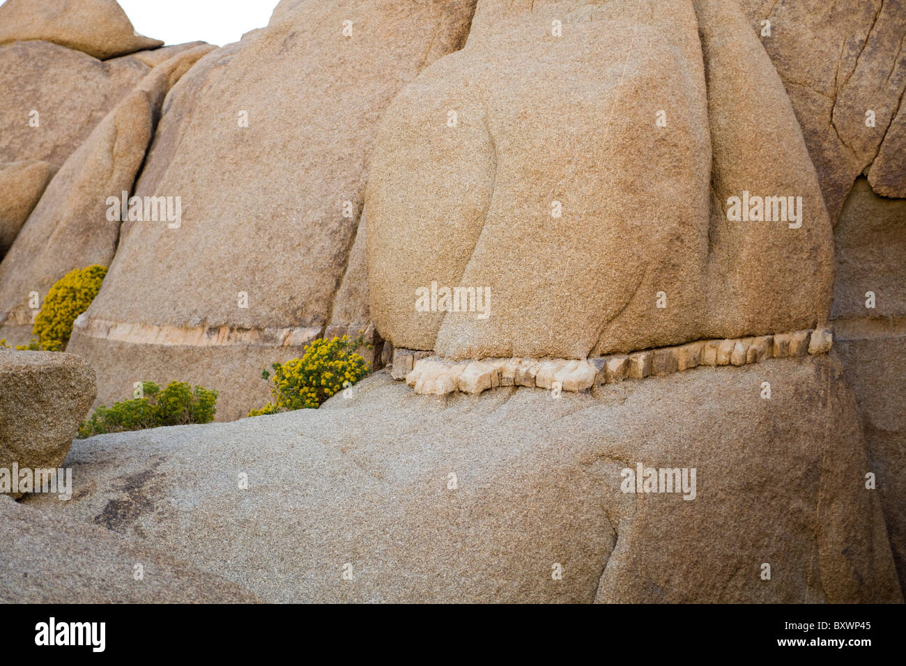 Unique monzogranite rock formations with aplite vein - California USA ...