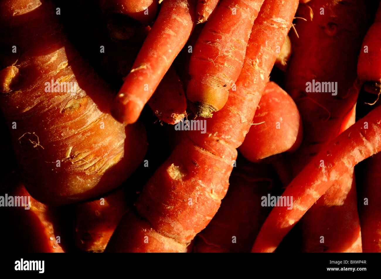 Plant with edible roots hi-res stock photography and images - Alamy