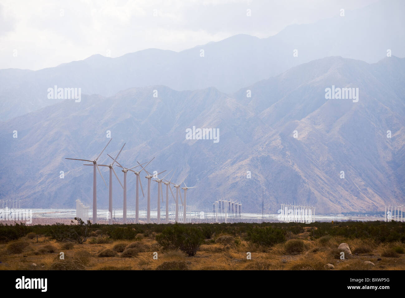 Wind turbines at wind farm - San Gorgonio Pass, Palm Springs ...
