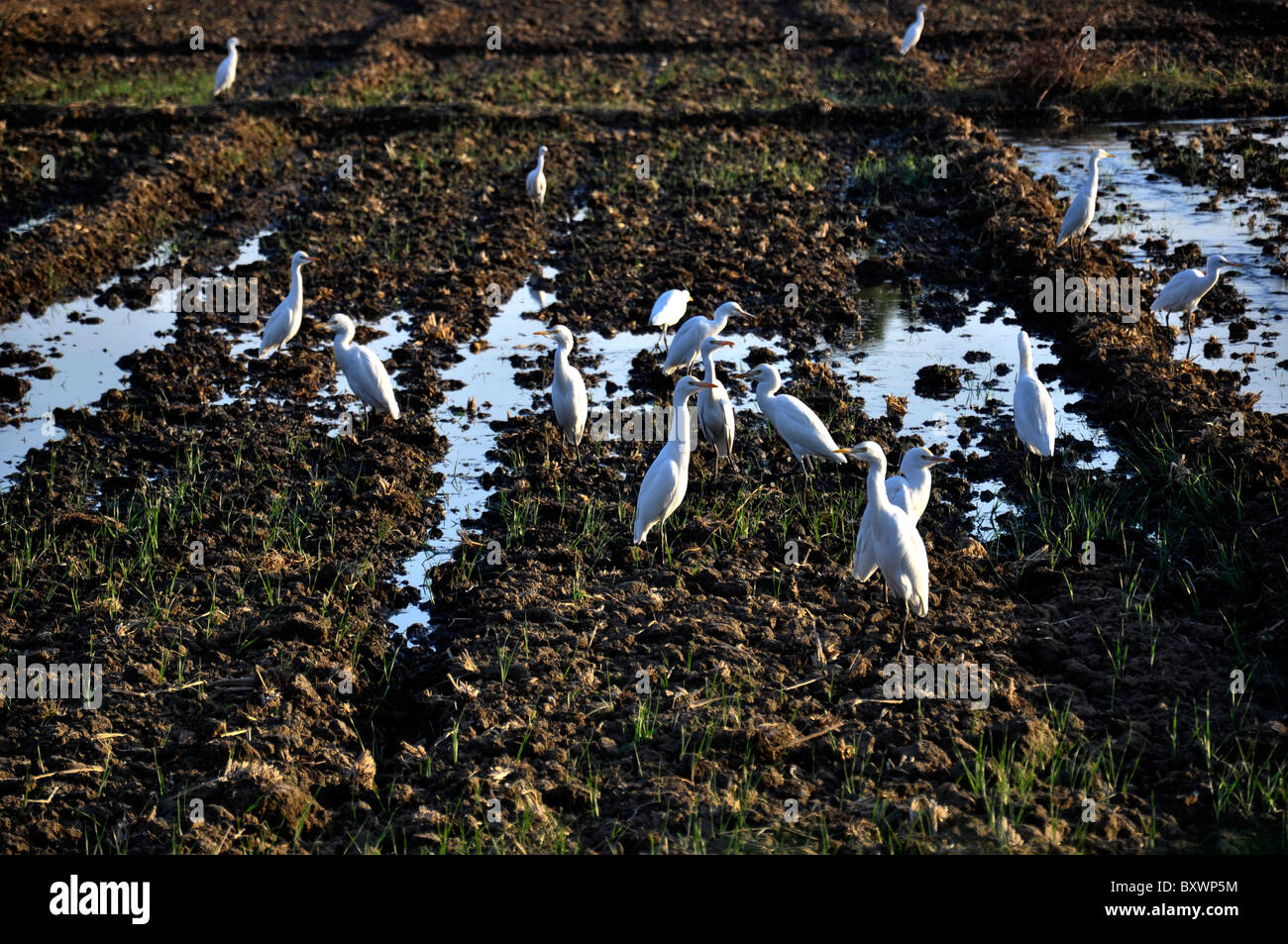 Logged area hi-res stock photography and images - Alamy