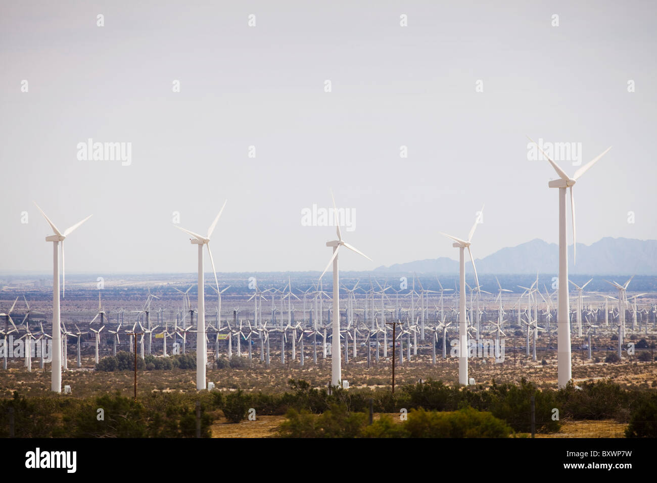 Wind turbines at wind farm - San Gorgonio Pass, Palm Springs ...