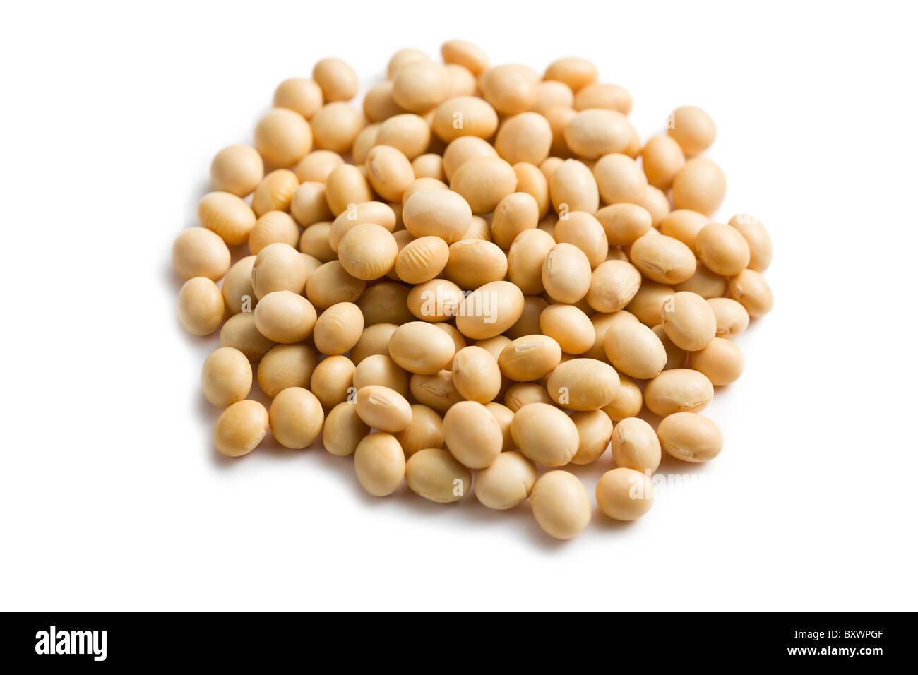 the soya beans on white background Stock Photo - Alamy