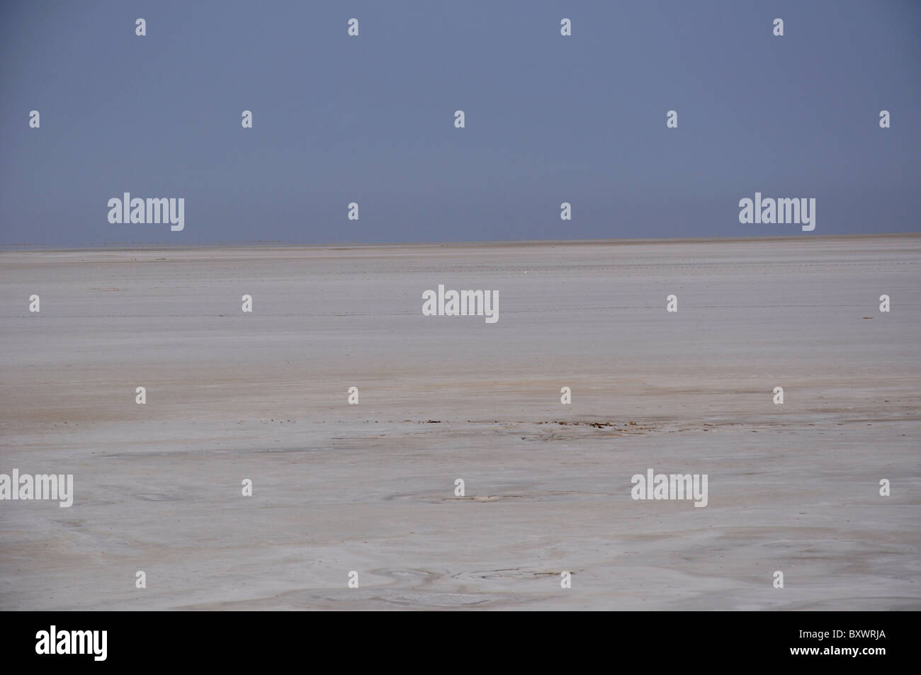 Rann of Kutch, Gujarat,india Stock Photo - Alamy