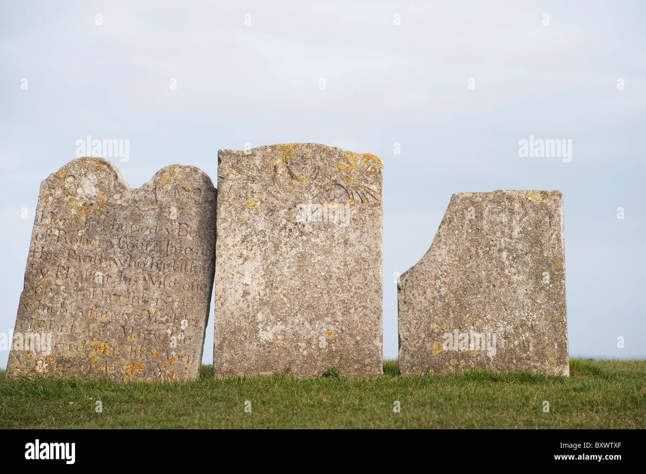 Lichen grave stone hi-res stock photography and images - Alamy