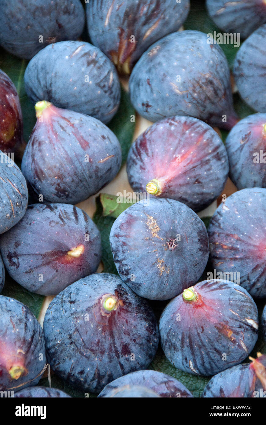 Figs italy hi-res stock photography and images - Alamy