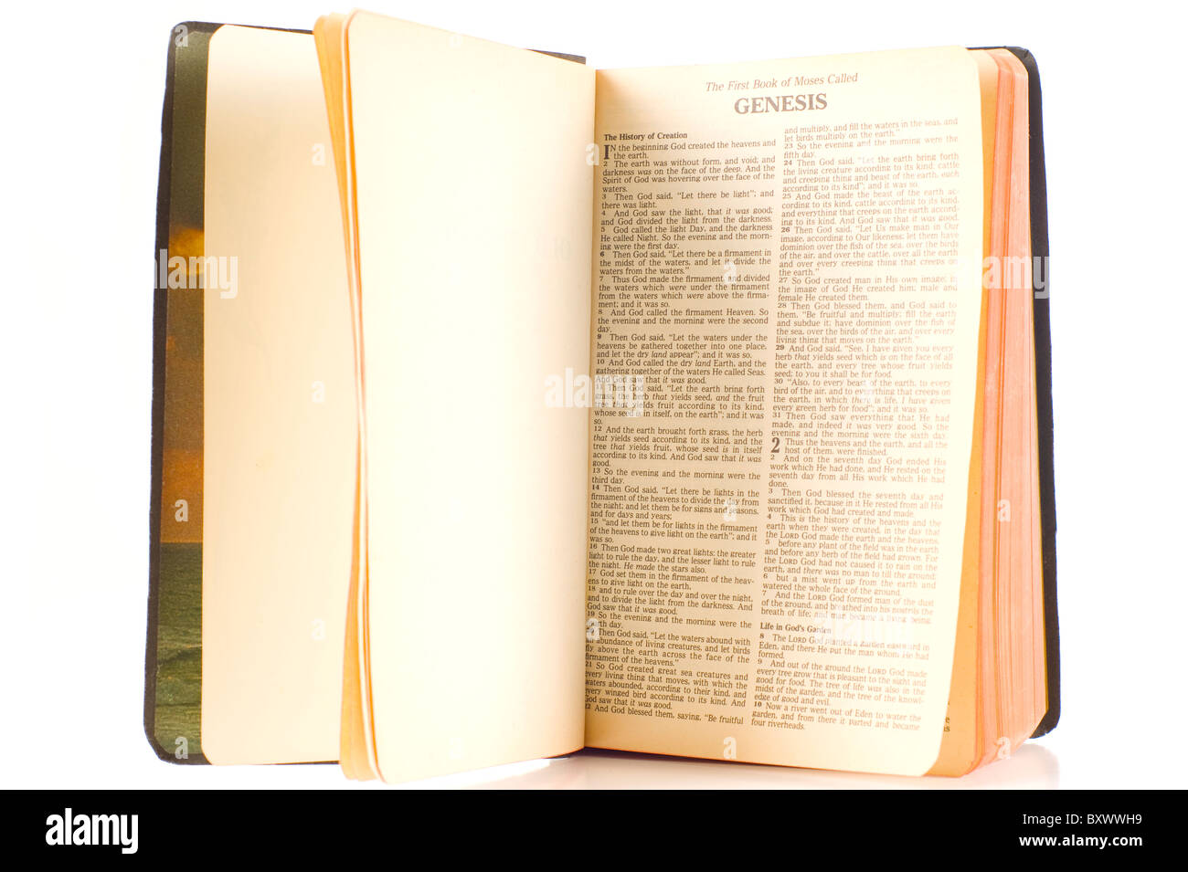 Open Book, Bible - In the Beginning Stock Photo - Alamy