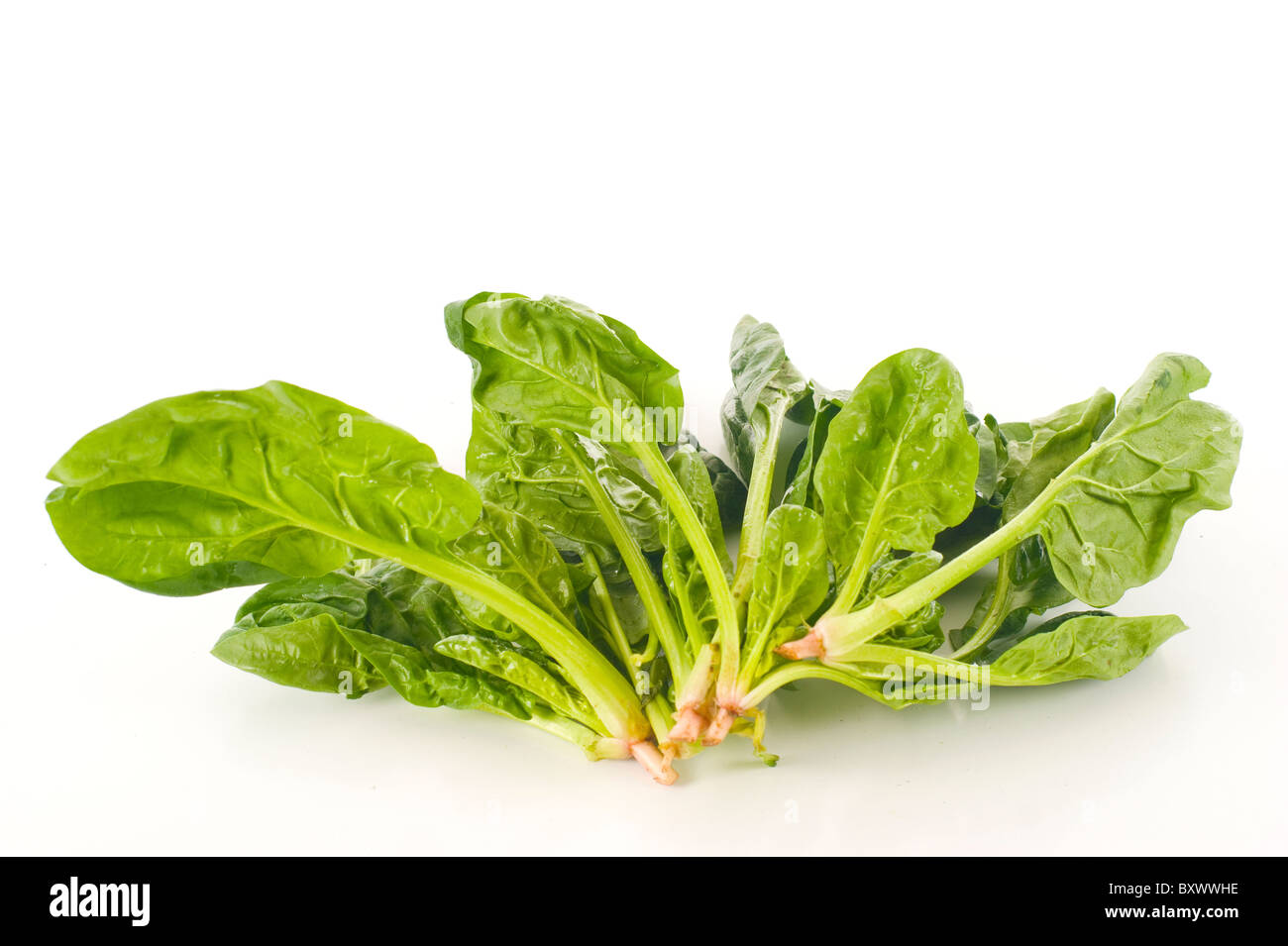Organic Spinach - Isolated over a white background Stock Photo - Alamy