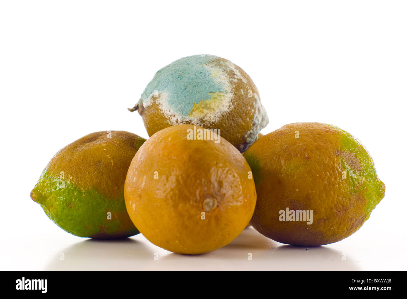 A Bunch of Rotten Lemons - Isolated over a white background Stock Photo ...